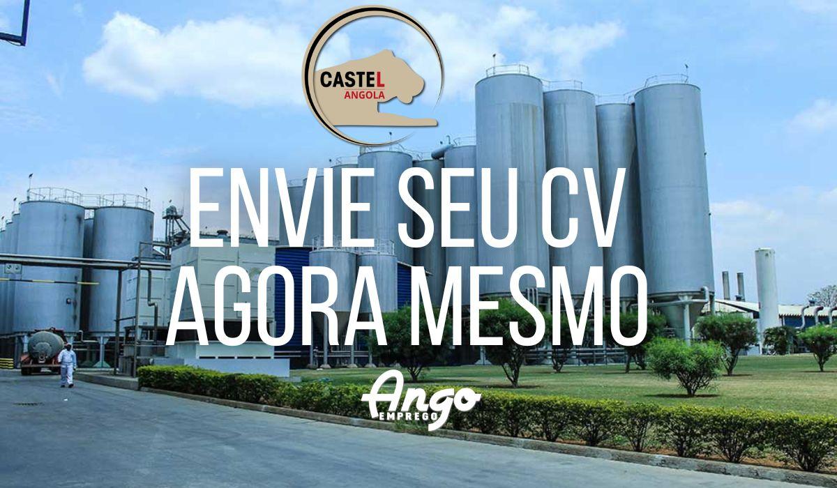 Candidatura espontânea Grupo Castel Angola - Ango Emprego