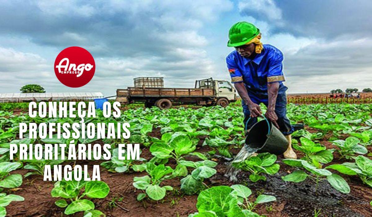 Profissionais prioritários em Angola - Ango Emprego